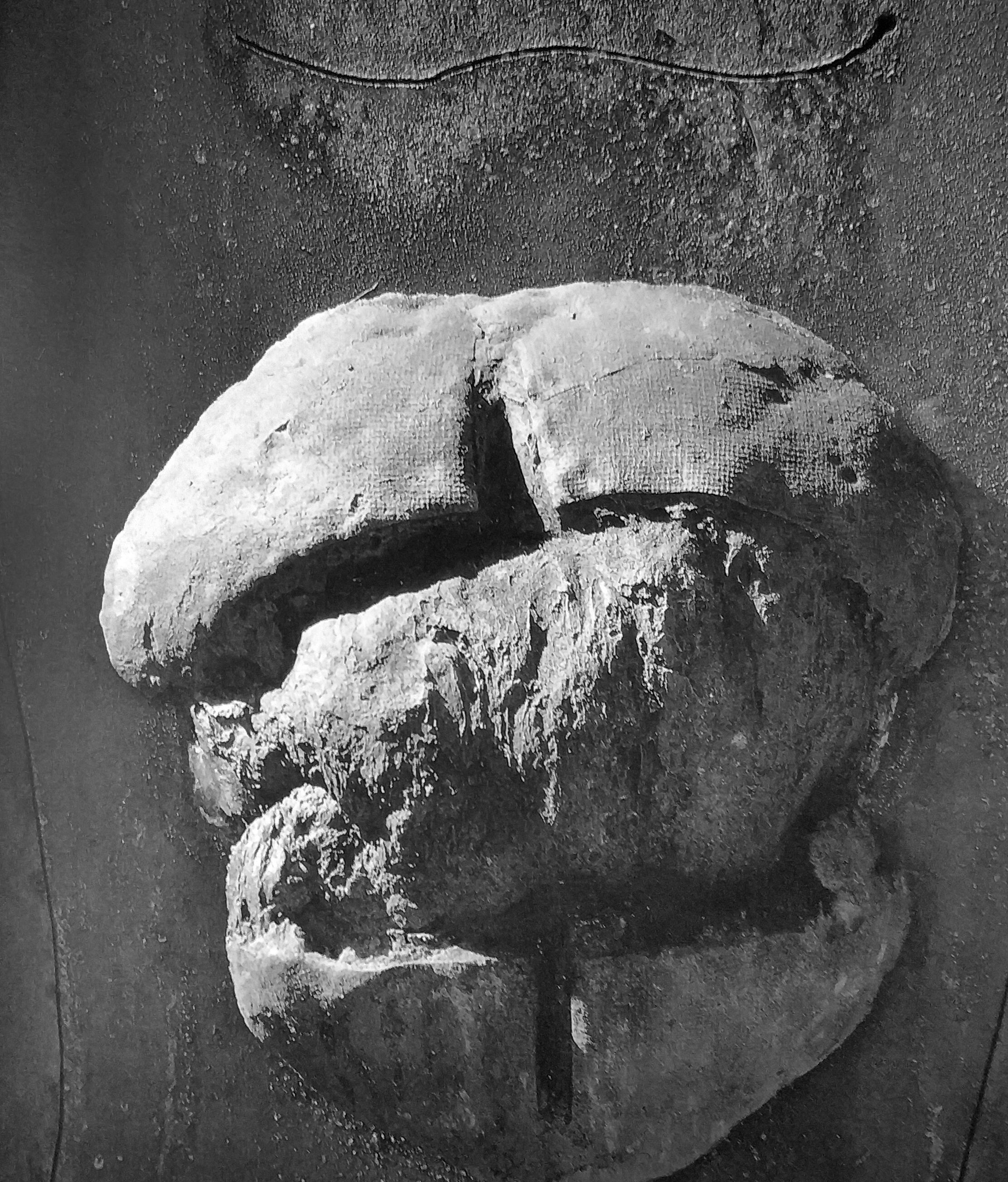 VOLCÀ CROSCAT – LLUÍS VILÀ